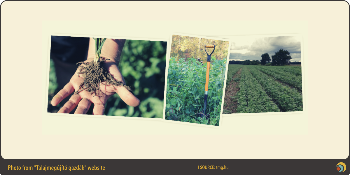 Regenerative agriculture - the Holy Grail of nature-based solutions ...